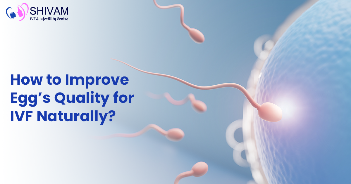 How to Improve the Quality of Egg for IVF Naturally?