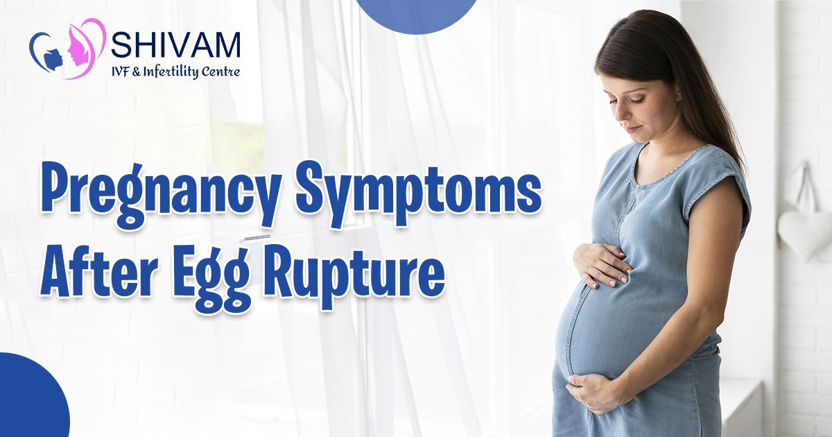Pregnancy Symptoms After Egg Rupture
