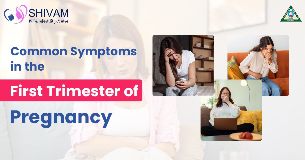 Common Symptoms in the First Trimester of Pregnancy
